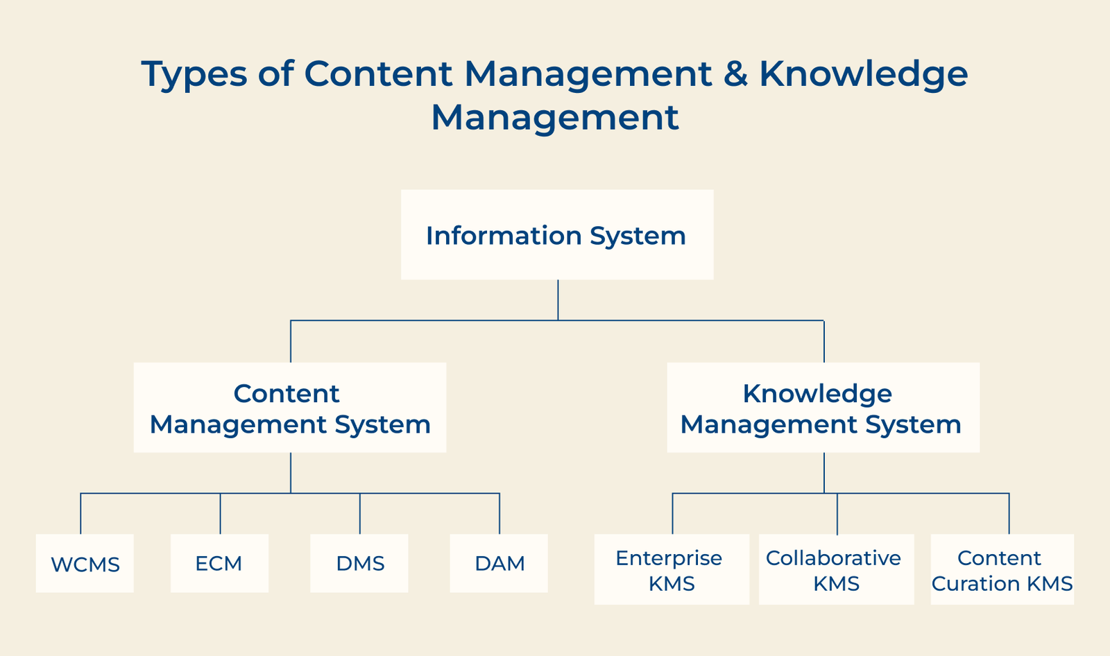 Content Management vs. Knowledge Management: Differences Revealed