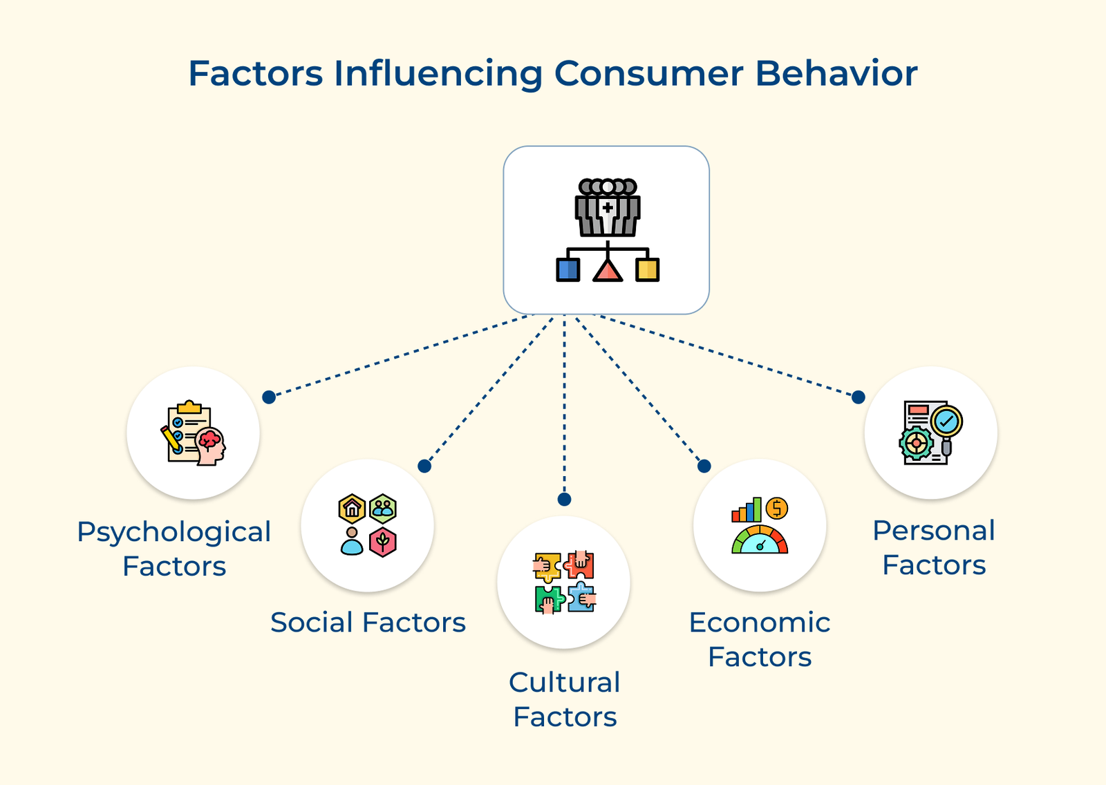 What is Consumer Behavior? Factors, Types and Steps